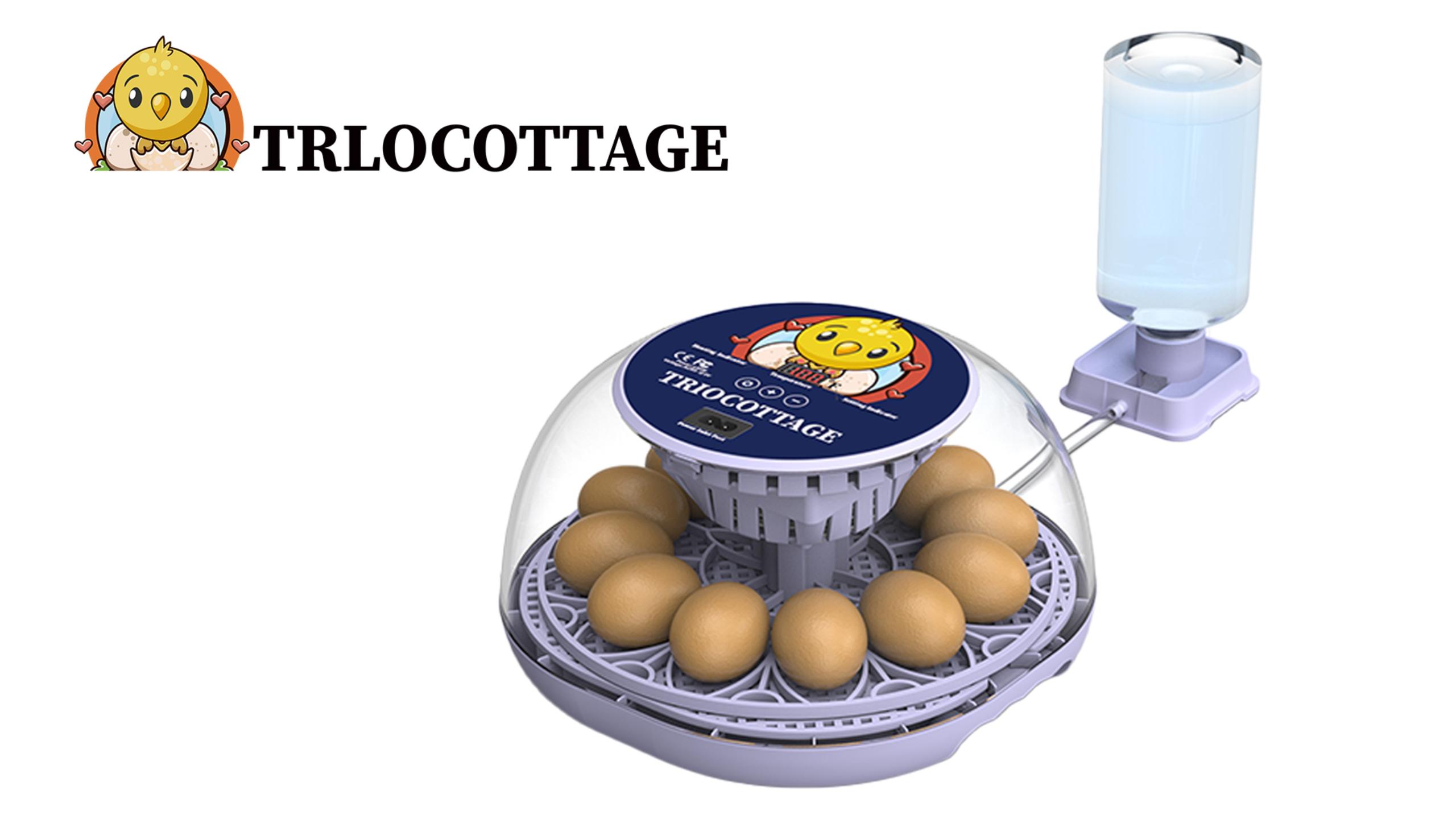 Watch Demonstration of the basic functions of the incubator on Amazon Live