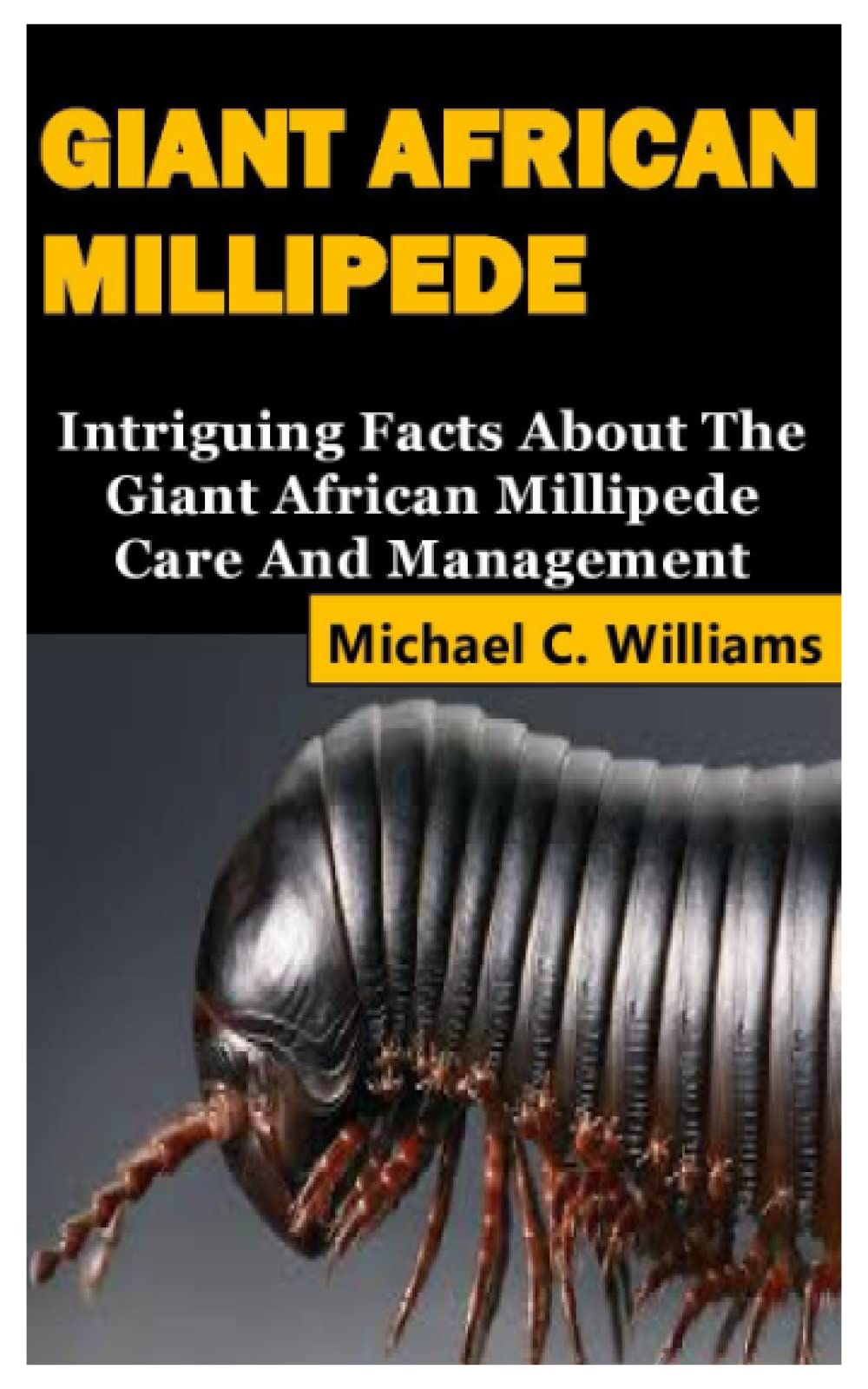 Giant African Millipede Intriguing Facts About The Giant African ...