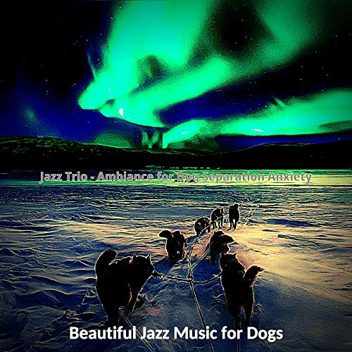Amazon Music UnlimitedでBeautiful Jazz Music for DogsのJazz Trio ...