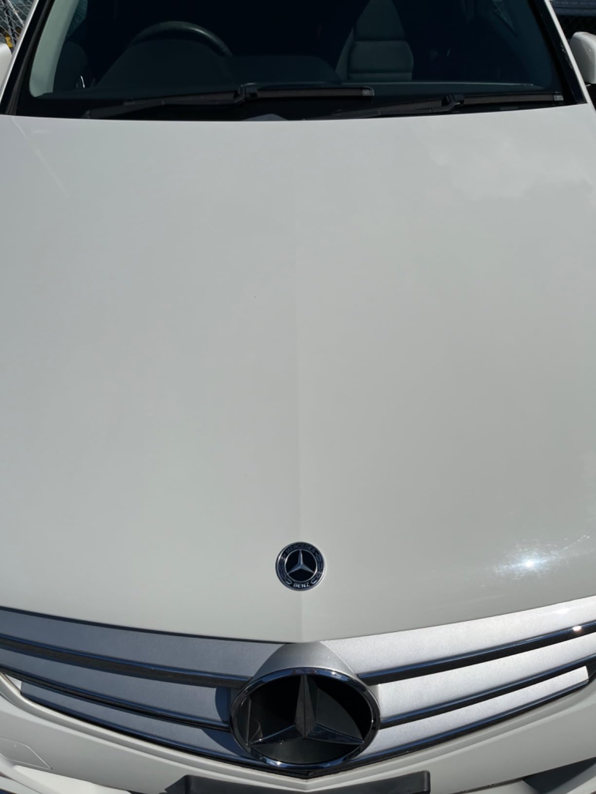 Amazon | 【Mercedes-Benz純正】 メルセデス・ベンツ ローレルリース ボンネット エンブレム ブラック ...