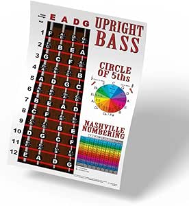 Amazon.com: Upright Bass Fingerboard Instructional Poster 4 String Bass ...