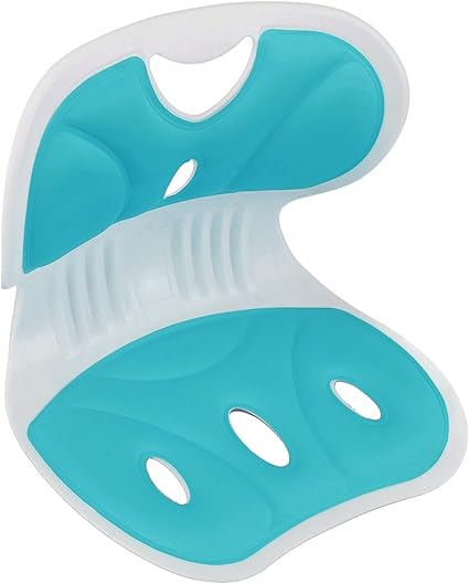 Posture Chair, Ergonomic Back and Lumbar Support Lumbar Support Posture ...