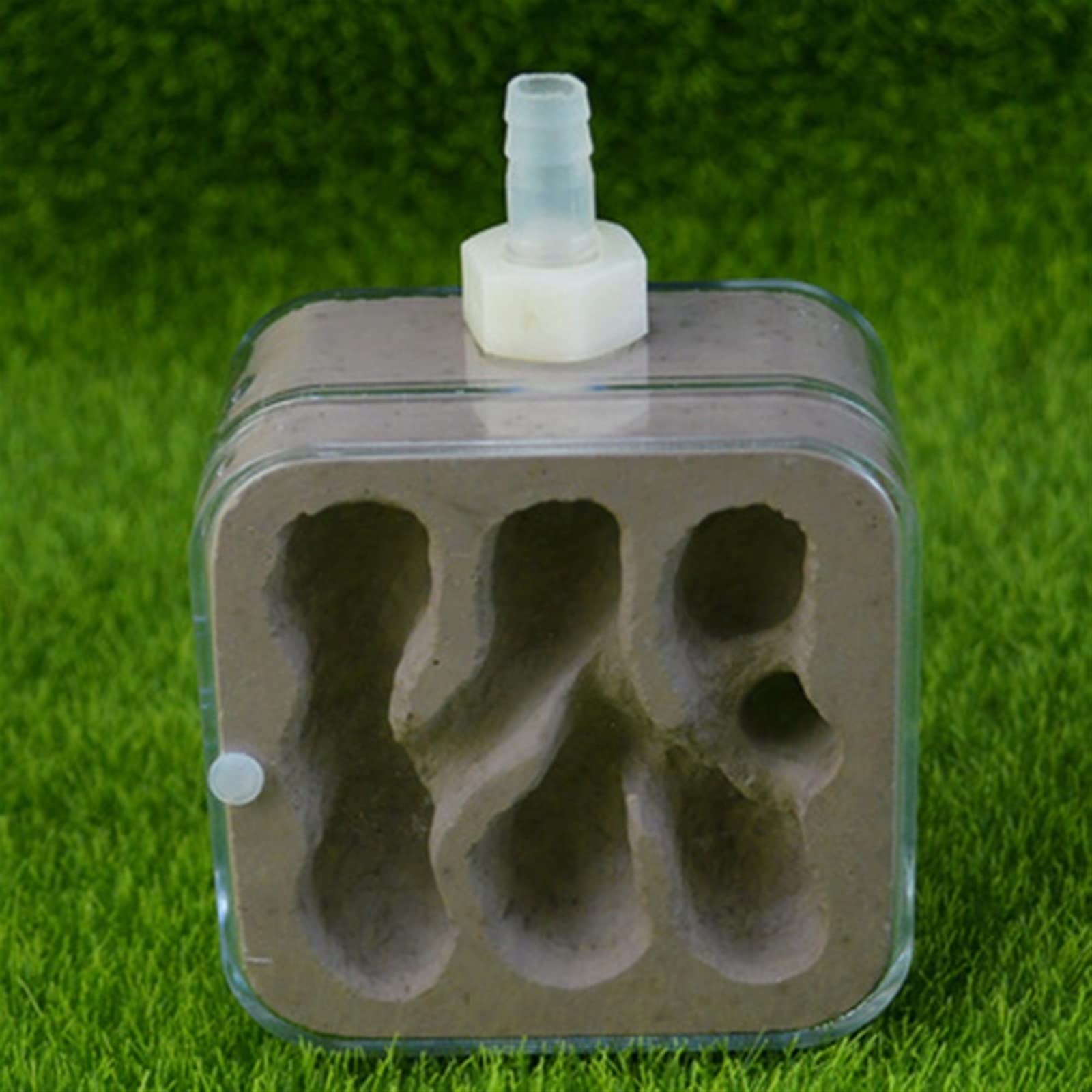 Amazon.co.jp: Ant Tower Sientific Abservation Ant Farm Nest Small DIY ...