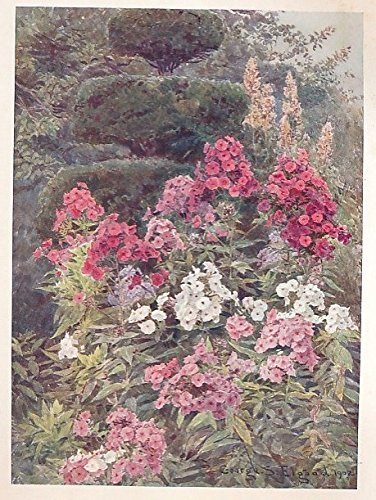 Some English Gardens: Gertrude Jekyll, Splendid Watercolors By George ...