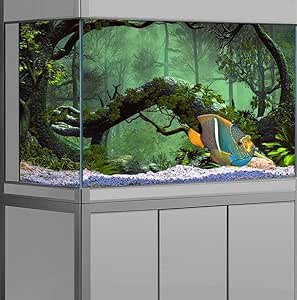 Amazon.com : Forest Aquarium Background, Tropical Green Trees Stone ...