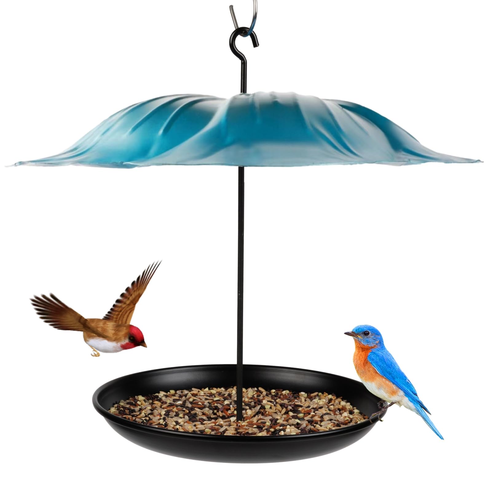 Can Goldfinches Eat Pumpkin Seeds from a Tray Feeder - Earth of Birds