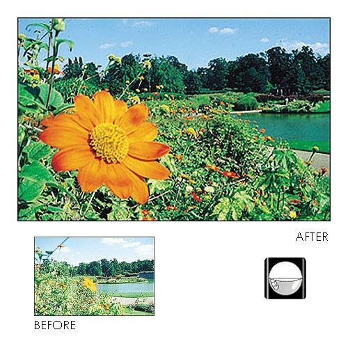 Cokin A113 Filter, A, Split Field +3 : Amazon.in: Electronics