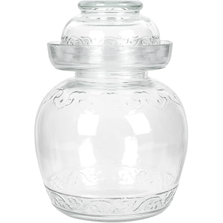 Amazon.com: Aosnttol Glass Jar Fermentation Jar, Fermenting Crock with ...