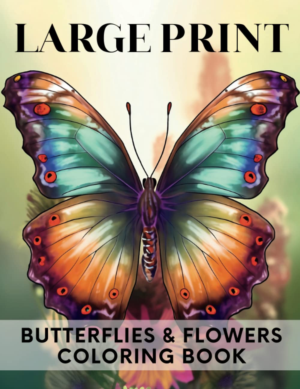 Large Print Butterflies and Flowers Coloring Book: Easy, Bold Coloring ...