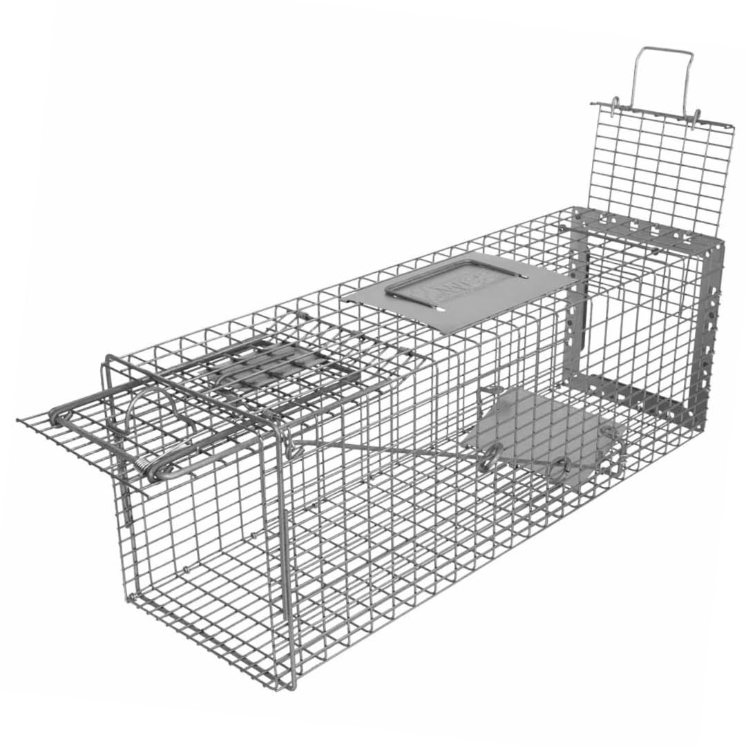 Amazon.com : Special PRO-24 Cage Trap with Rear Release – Heavy Duty ...