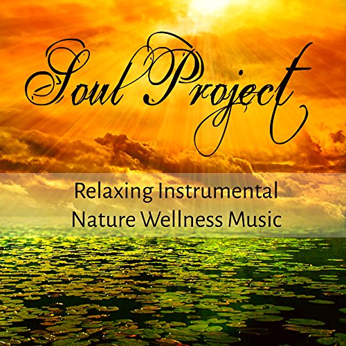 Amazon.com: Soul Project - Relaxing Instrumental Nature Wellness Music ...