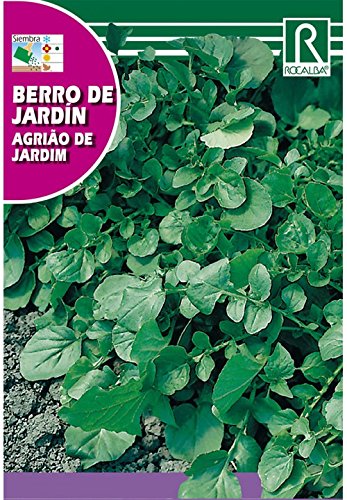 Agrião Continente - FICA