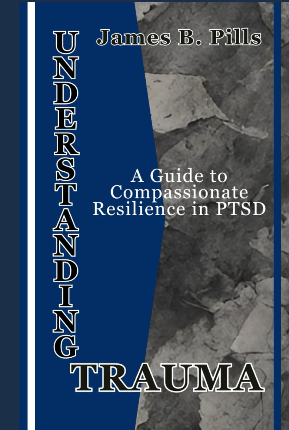 Understanding Trauma: A Guide to Compassionate Resilience in PTSD: B ...