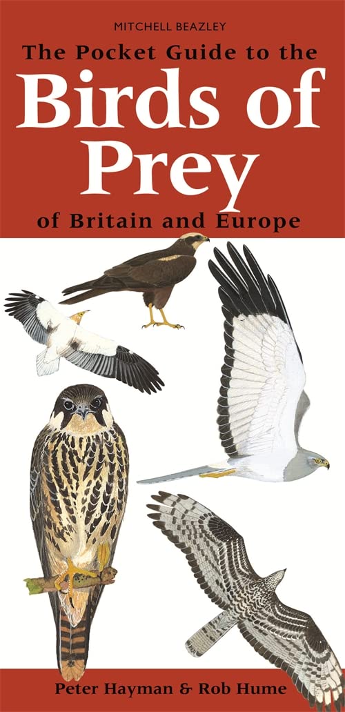 Amazon | The Pocket Guide to Birds of Prey of Britain and Europe ...