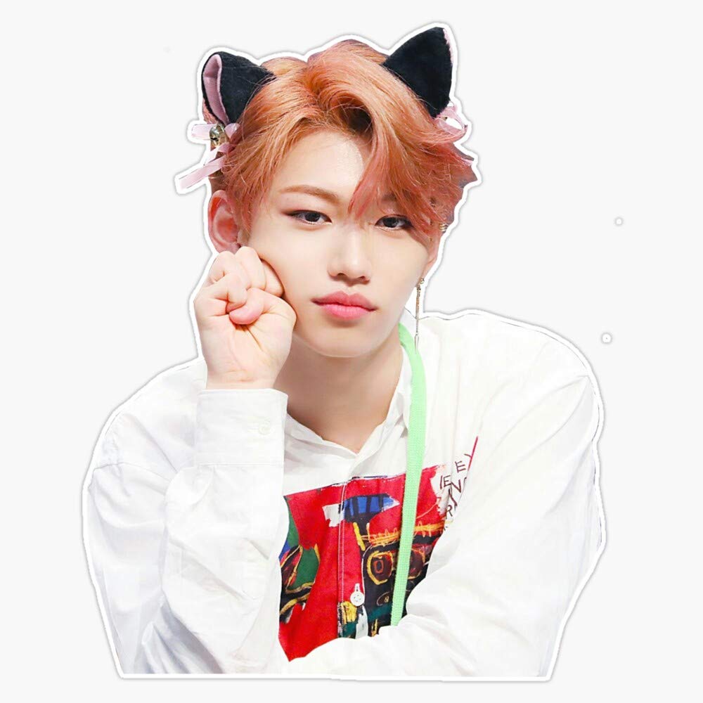 Amazon.com - Stray Kids Felix Cat Ears Sticker Outdoor Rated Vinyl ...
