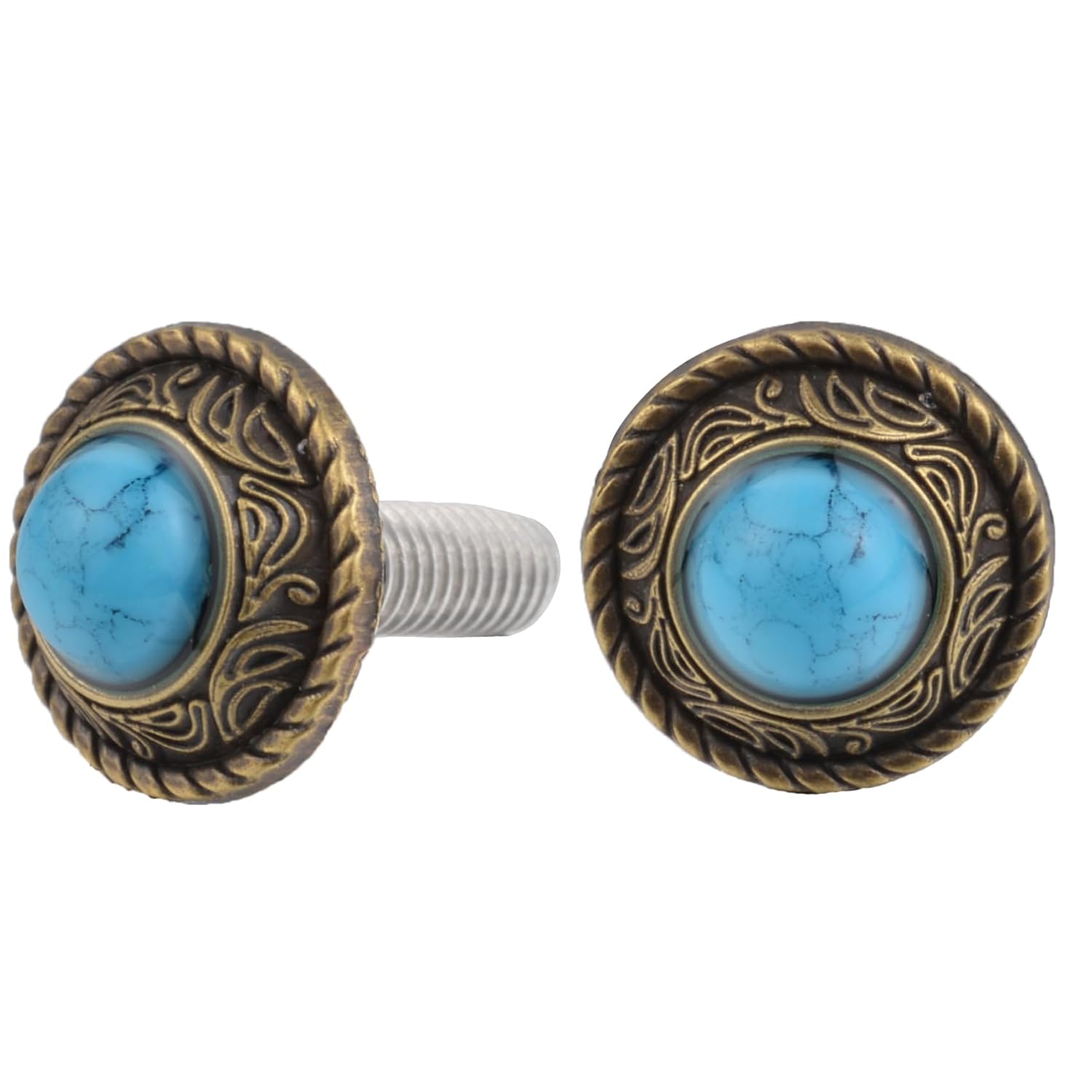 Amazon.com: Lunsom License Plate Screw Kit,Round Shape License Plate ...