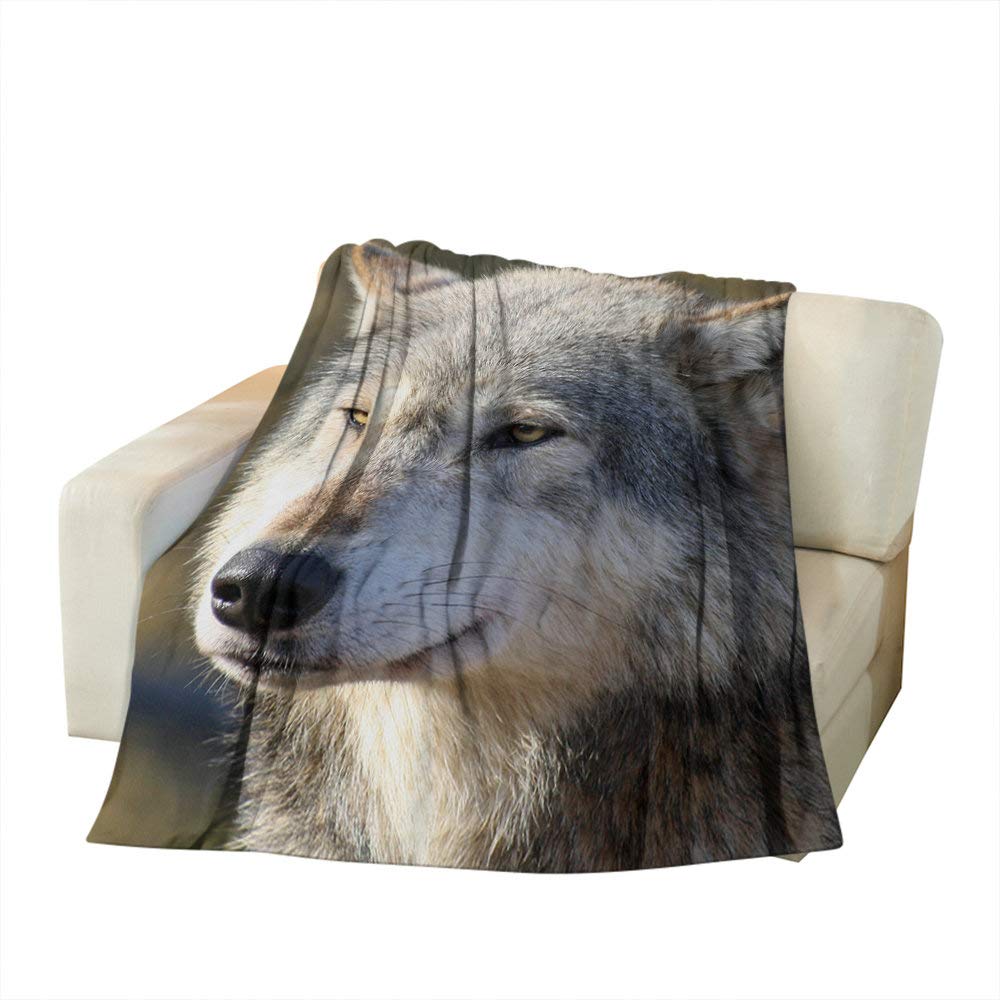 Wolf Snout Predator Wolf Hollow
