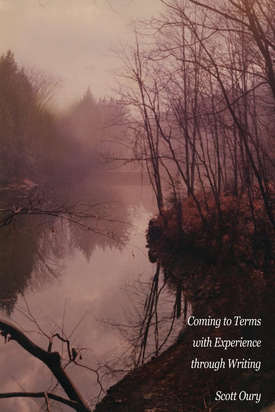 Amazon.com: Coming to Terms with Experience through Writing, Scott Oury ...