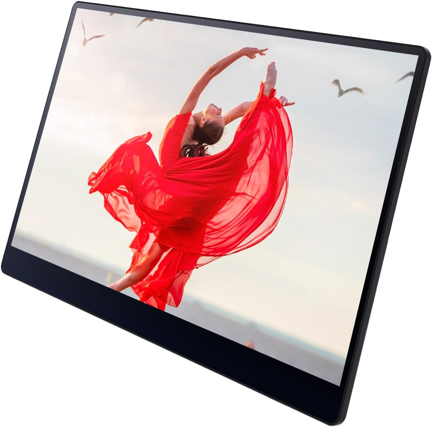 Amazon.com: RICOH 150BW Portable 15.6" Vivid OLED 350nit Lightweight ...