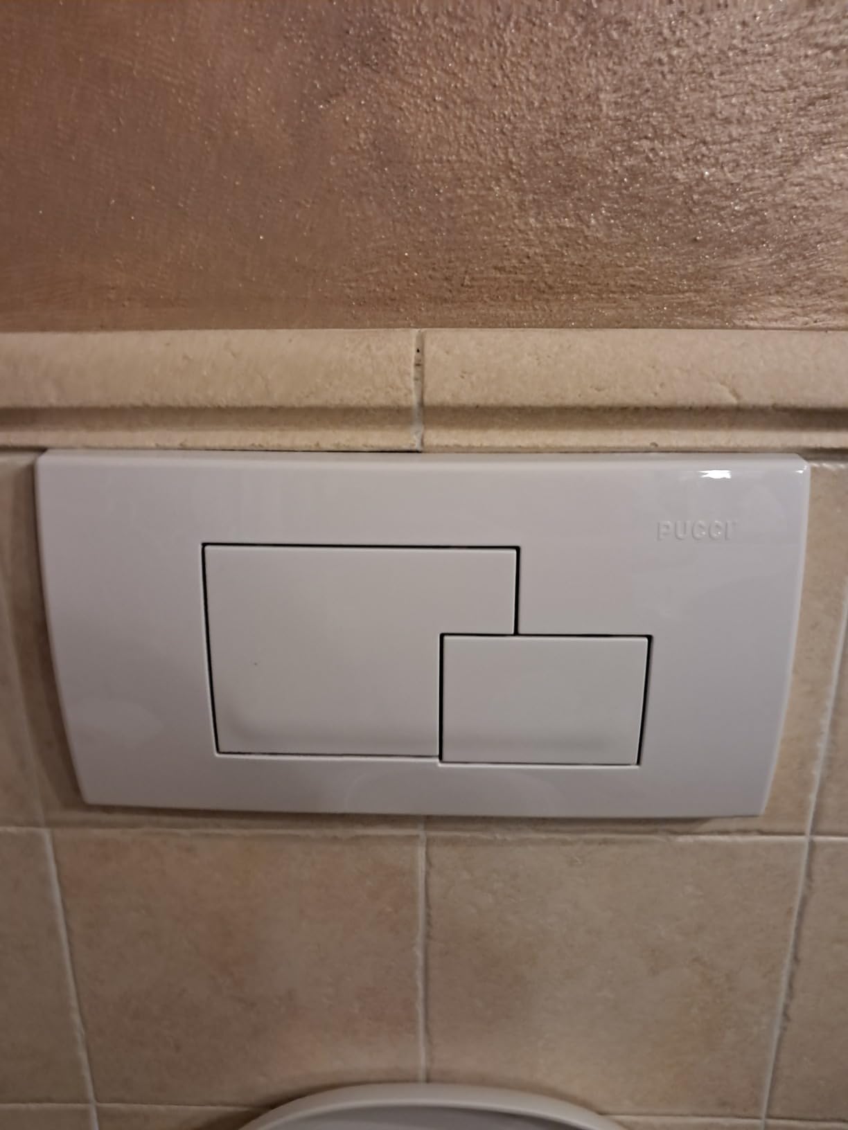 Placca Scarico Cassetta Incasso Eco Bianca 80005410 Pucci 5410 : Amazon ...