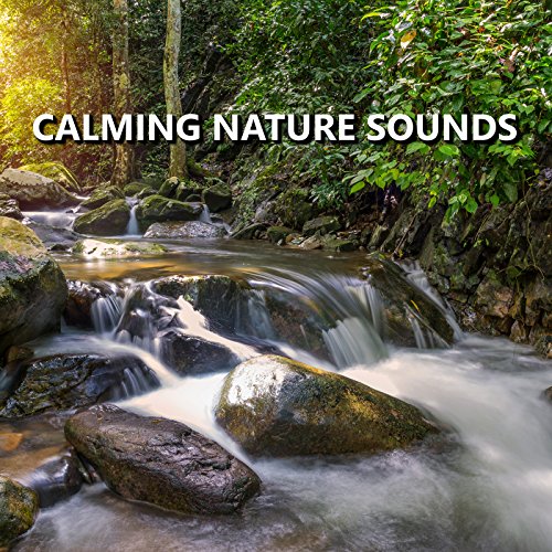 Amazon.com: Calming Nature Sounds : Nature Sounds: Digital Music