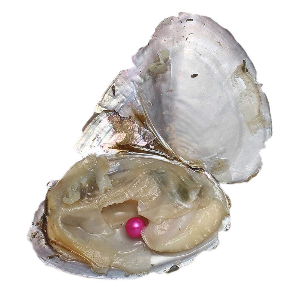 Freshwater Pearls In Shell Your 2023 Pearl Jewellery Buying Guide