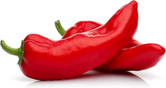 Chilli Plants, 'Apache', 6 x Plug Plant Pack, Apache Chilli, Plug ...