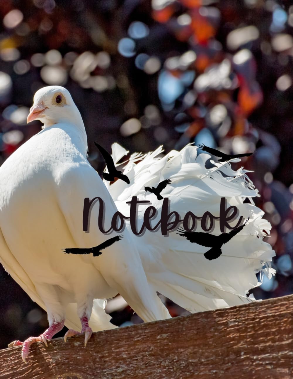 Pigeon Notebook: Young, Amanda: Amazon.com: Books