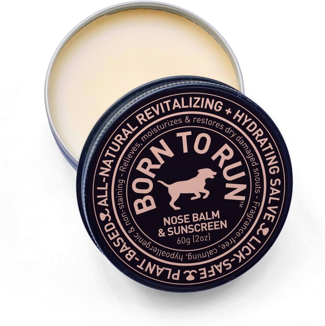 Amazon.com : BORN TO RUN Dog Nose Balm | Natural Snout Soother & Sun ...
