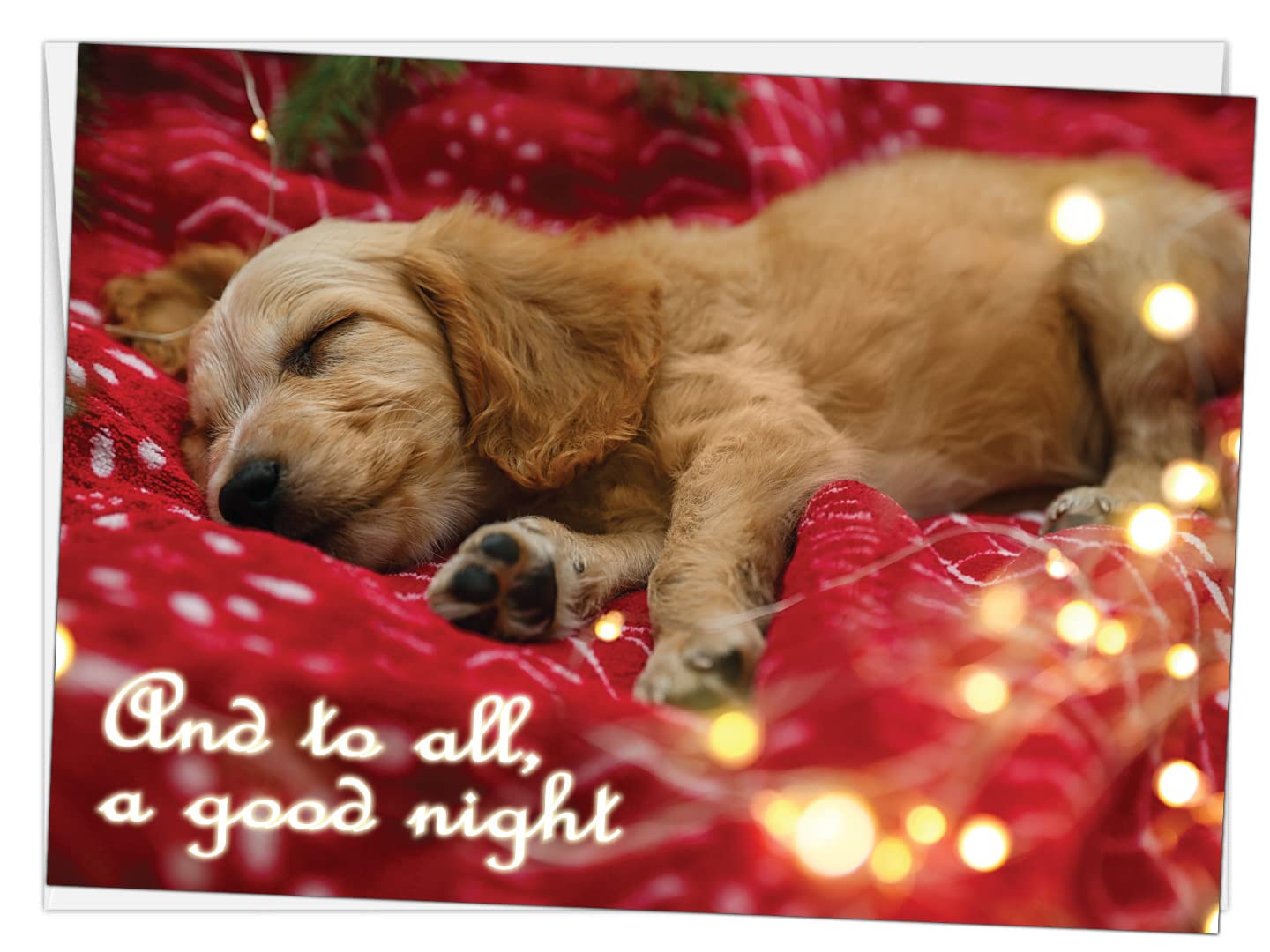 Good Night Puppy