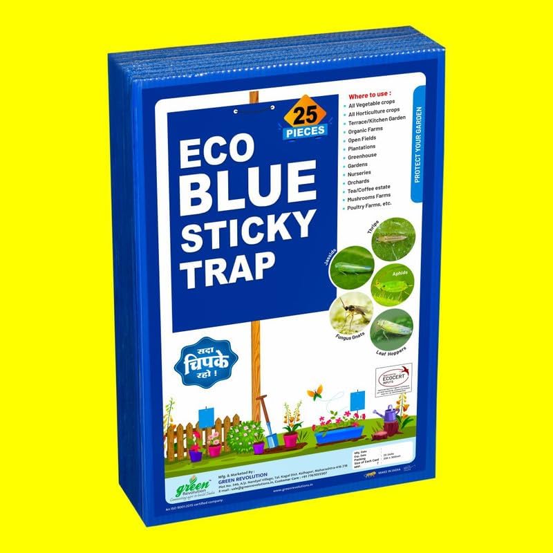 A4 Size Blue Sticky Traps Non-Toxic, Chemical Free Insect Trap for ...