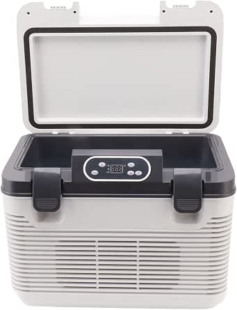 Amazon.com: LJCM 19L Car Fridge Silent Semiconductor Chip Intelligent ...