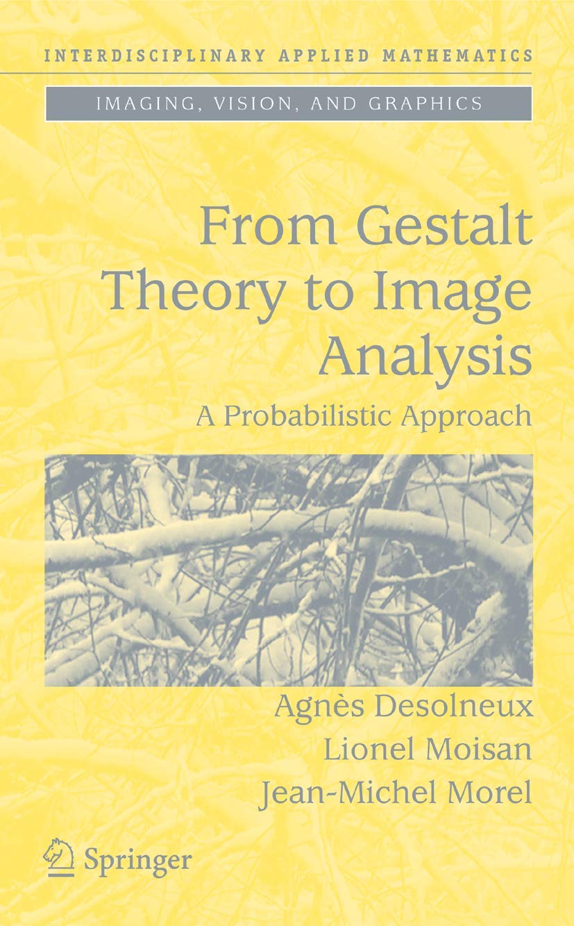 Buy FROM GESTALT THEORY TO IMAGE ANALYSIS (HB) Book Online at Low ...