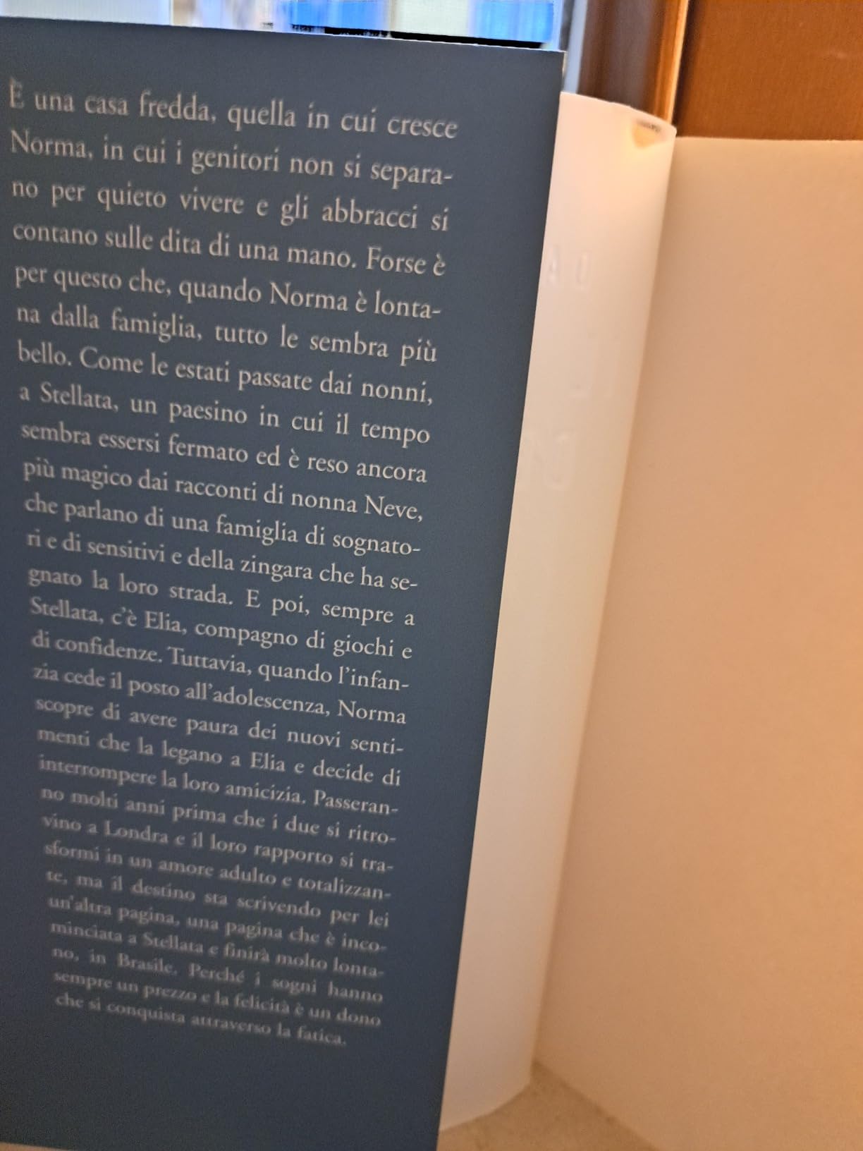 Il primo sole dell'estate : Raimondi, Daniela: Amazon.it: Libri