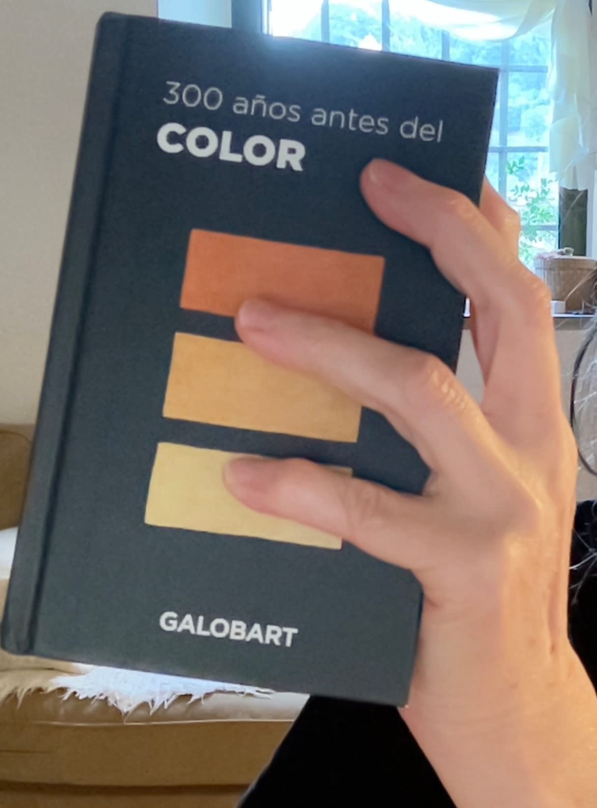 300 AÑOS ANTES DEL COLOR (ILUSTRADO) : BOOGERT, a, A BOOGERT: Amazon.es ...