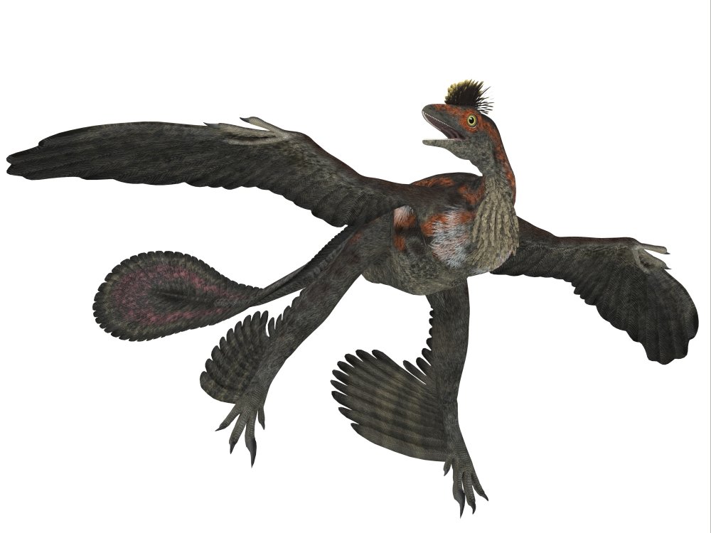Cretaceous Flying Dinosaurs