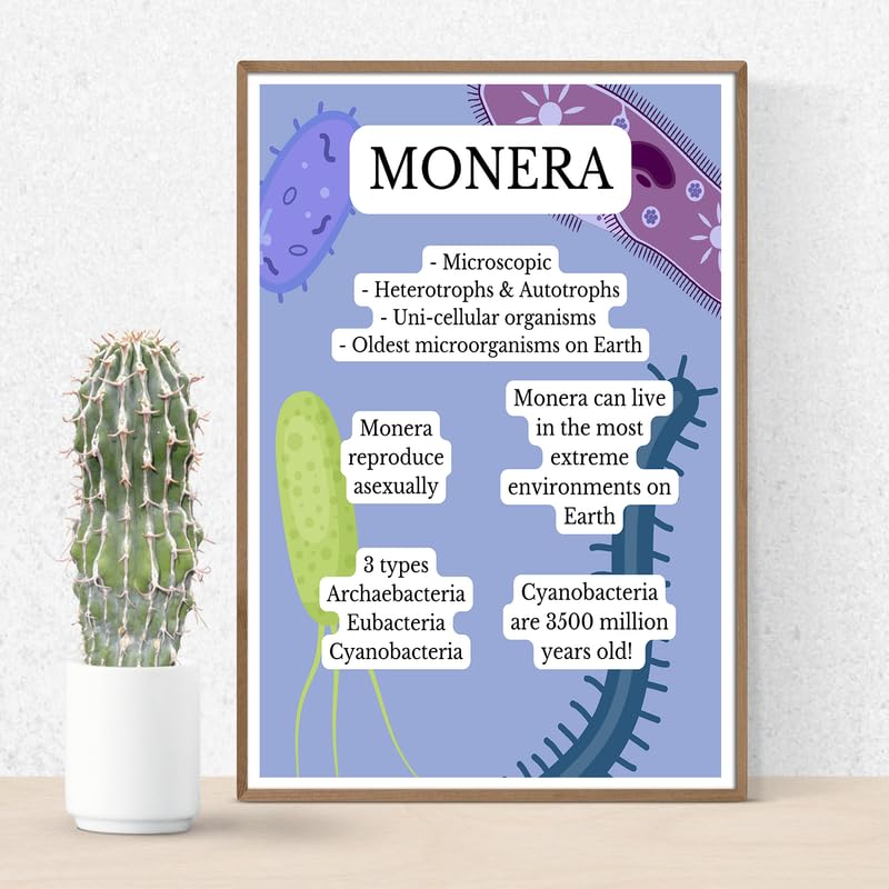 Types Of Monera
