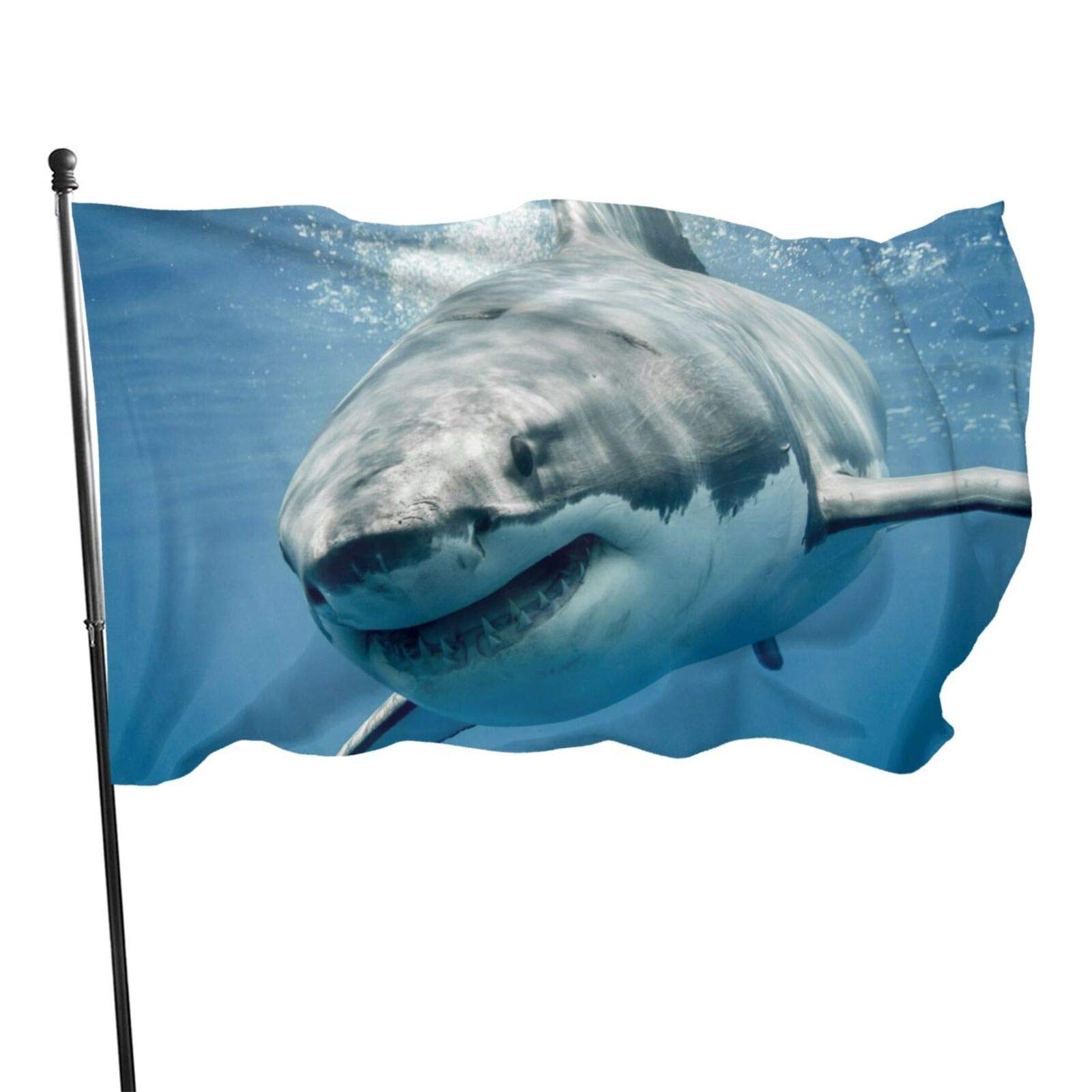 Amazon.com : TZT Shark 3x5 Feet Flag Indoor and Outdoor Decoration Flag ...