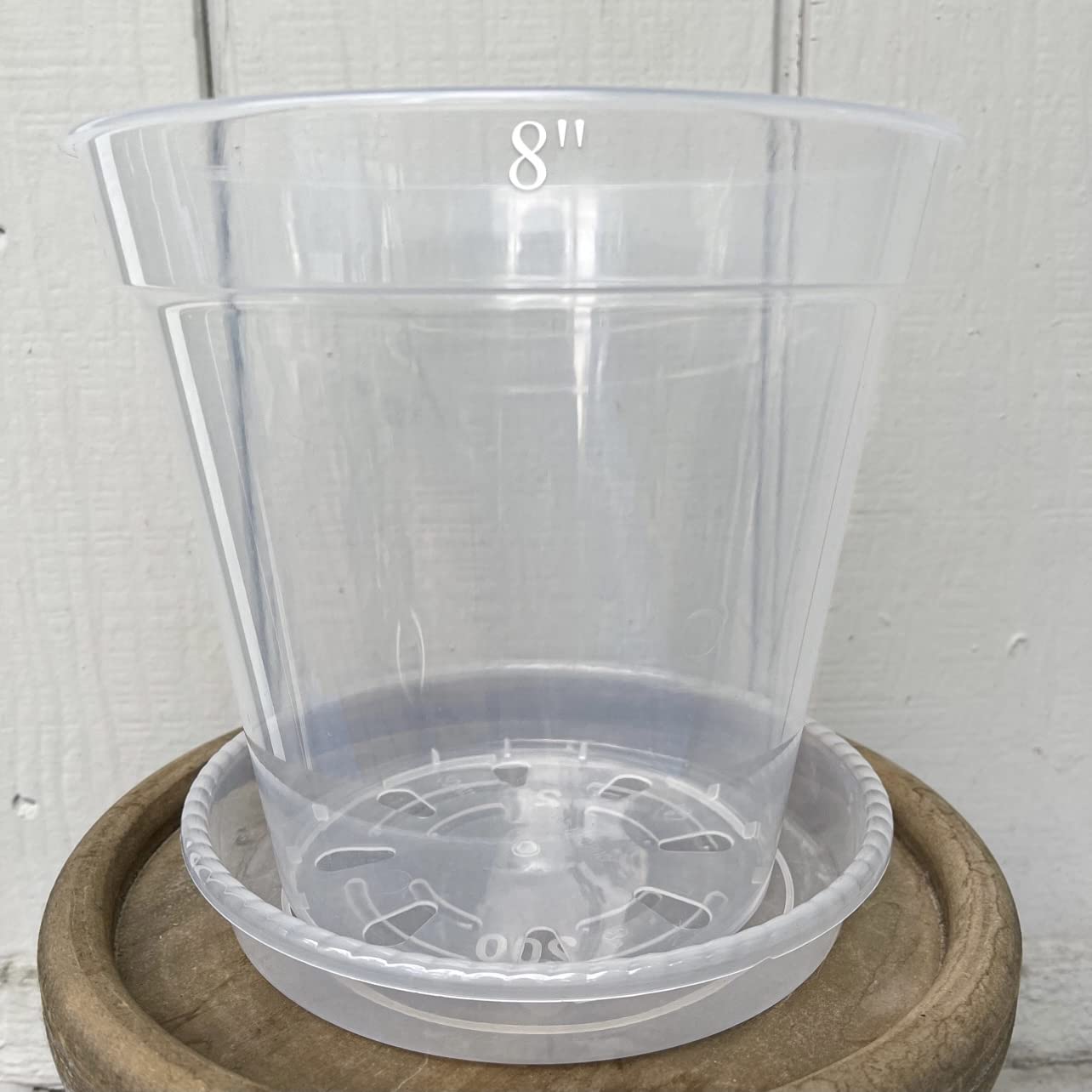 karenplantsplantsâ„¢ 8" Clear Plastic Nursery Pot with Trays (Clear ...