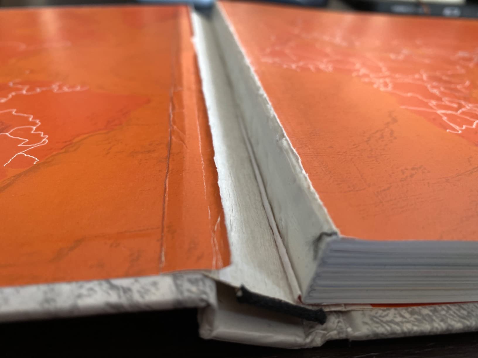 Amazon.it: Atlante delle frontiere. Muri, conflitti, migrazioni ...