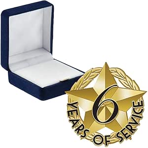 Amazon.com: Crown Awards 6 Years of Service Pins, 6 Years of Service ...
