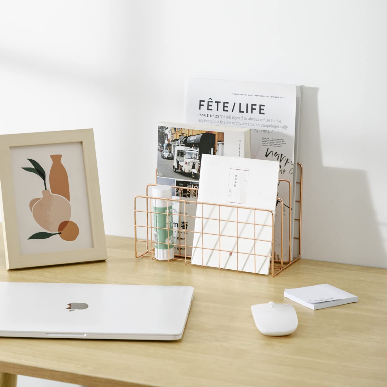 Frcctre 2 Pack Desktop Mail Organizer, 3 Slot Mail Holder File Holder ...