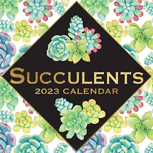 Amazon.com: 2023 Square Wall Calendar - Succulents, 30 x 30 CM Monthly ...