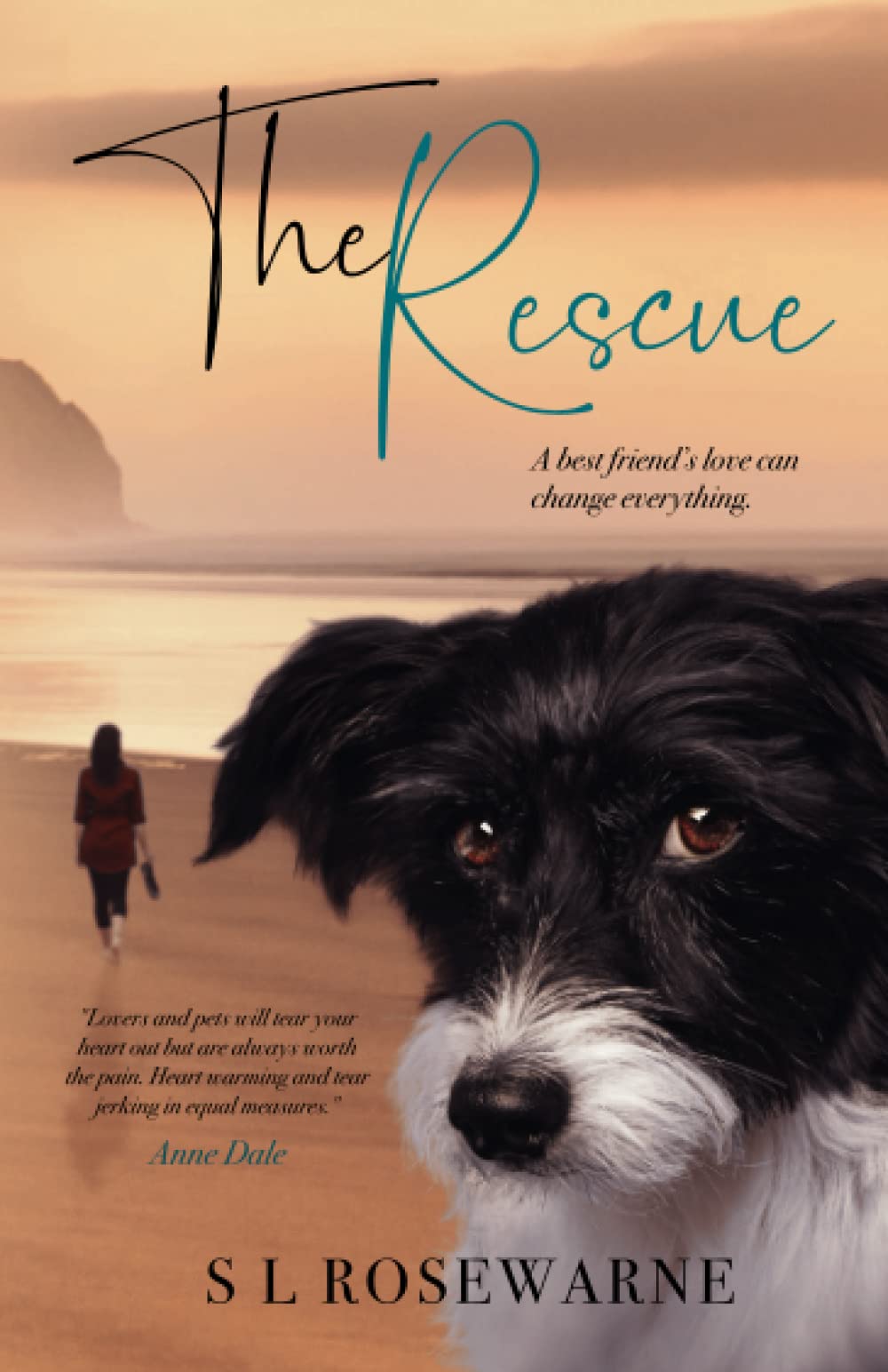 The Rescue: A best friend's love can change everything: Amazon.co.uk ...