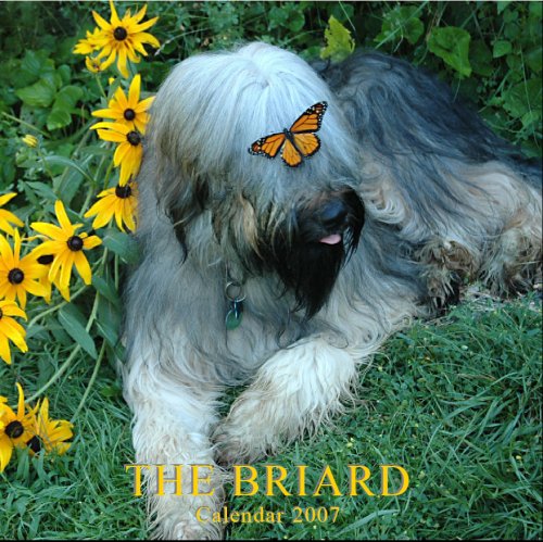 Briard Calendar 2007: The Friendly Briard Club, Paul Andringa, Calendar ...