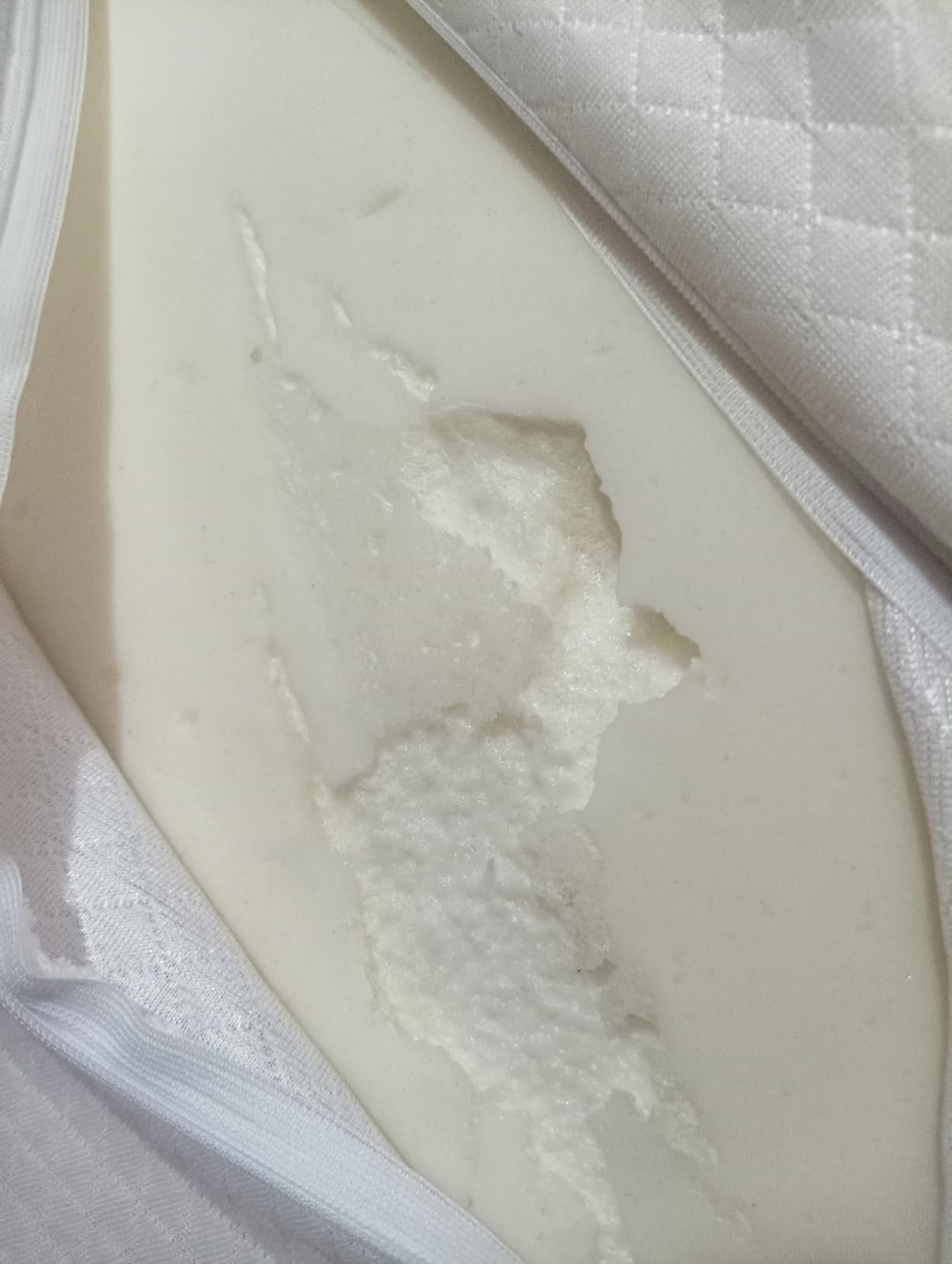 Bissell Memory Foam Pillow, Orthopedic Refill Pillow Neck Pain Cervical ...