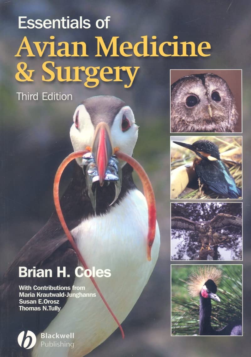 Essentials of Avian Medicine and Surgery: 9781405157551: Medicine ...