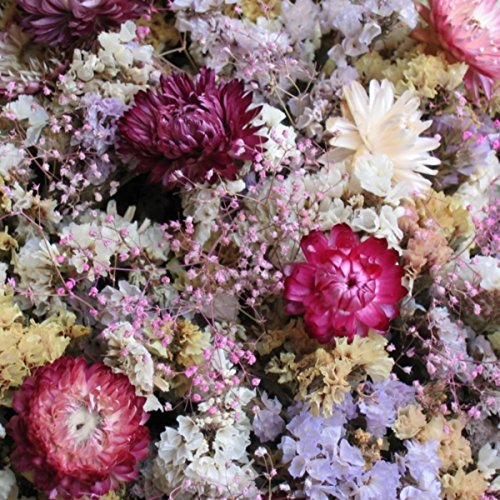 Play Saddict by Tom Hamill on Amazon Music