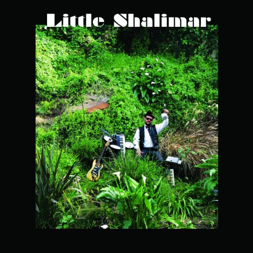 Play The New Pneumonia Blues by Little Shalimar on Amazon Music