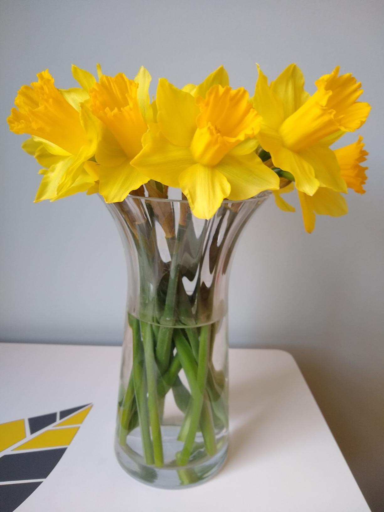 Dartington Crystal VA1250/O Florabundance Daffodil Vase : Amazon.co.uk ...